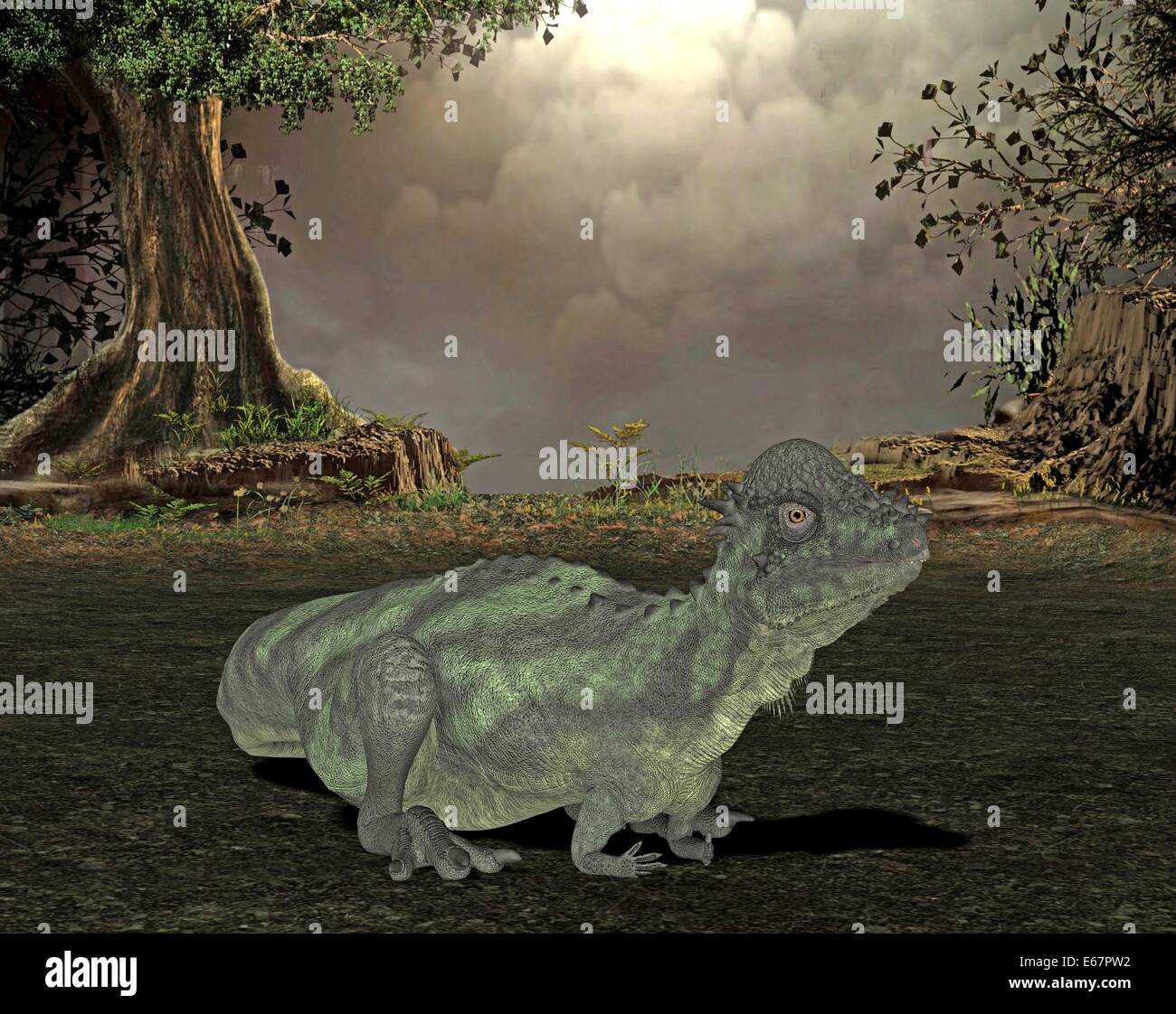 Dinosaurier Pachycephalosaurus / dinosaur Pachycephalosaurus Stock ...