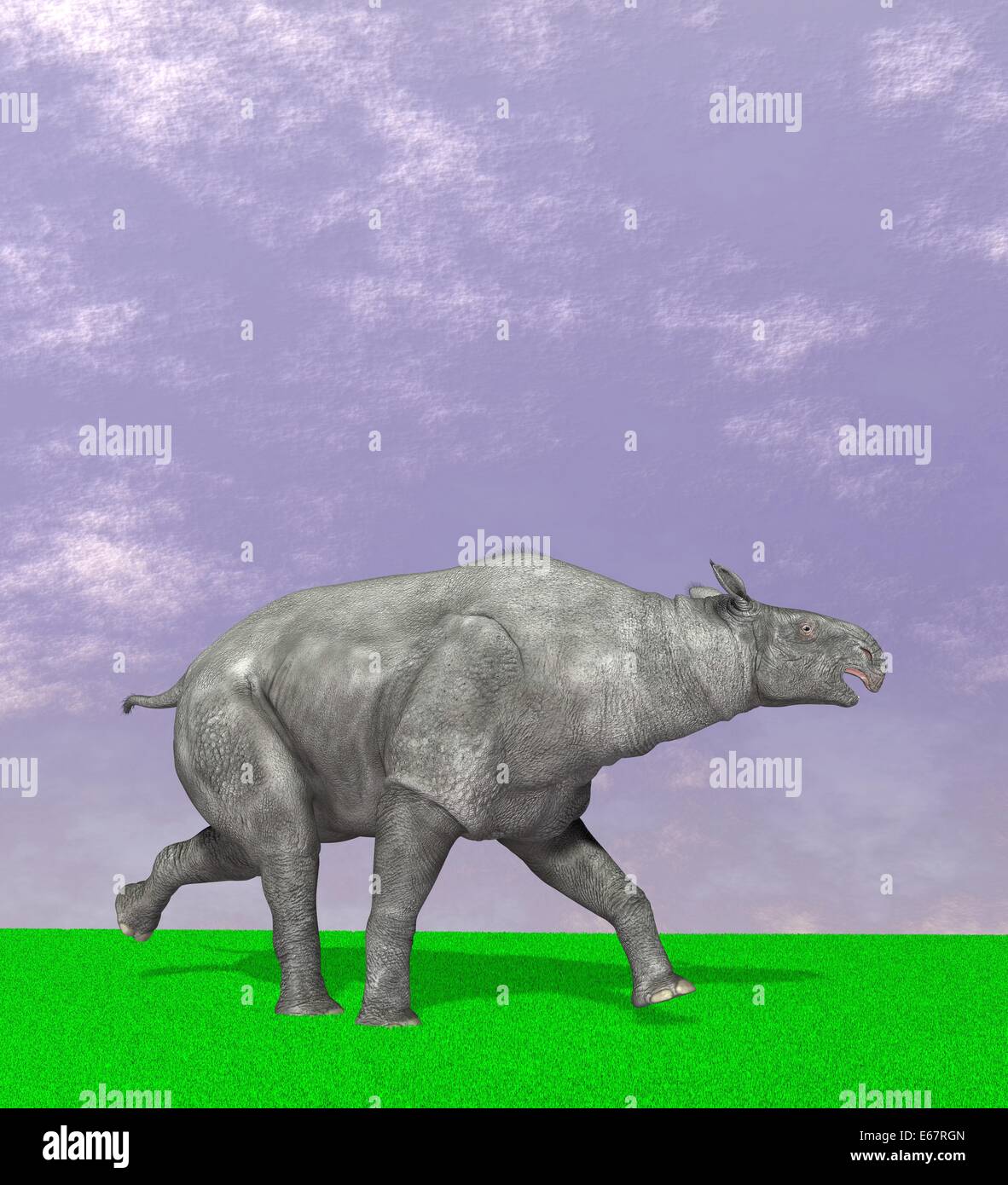 Dinosaurier Paraceratherium / dinosaur Paraceratherium Stock Photo - Alamy