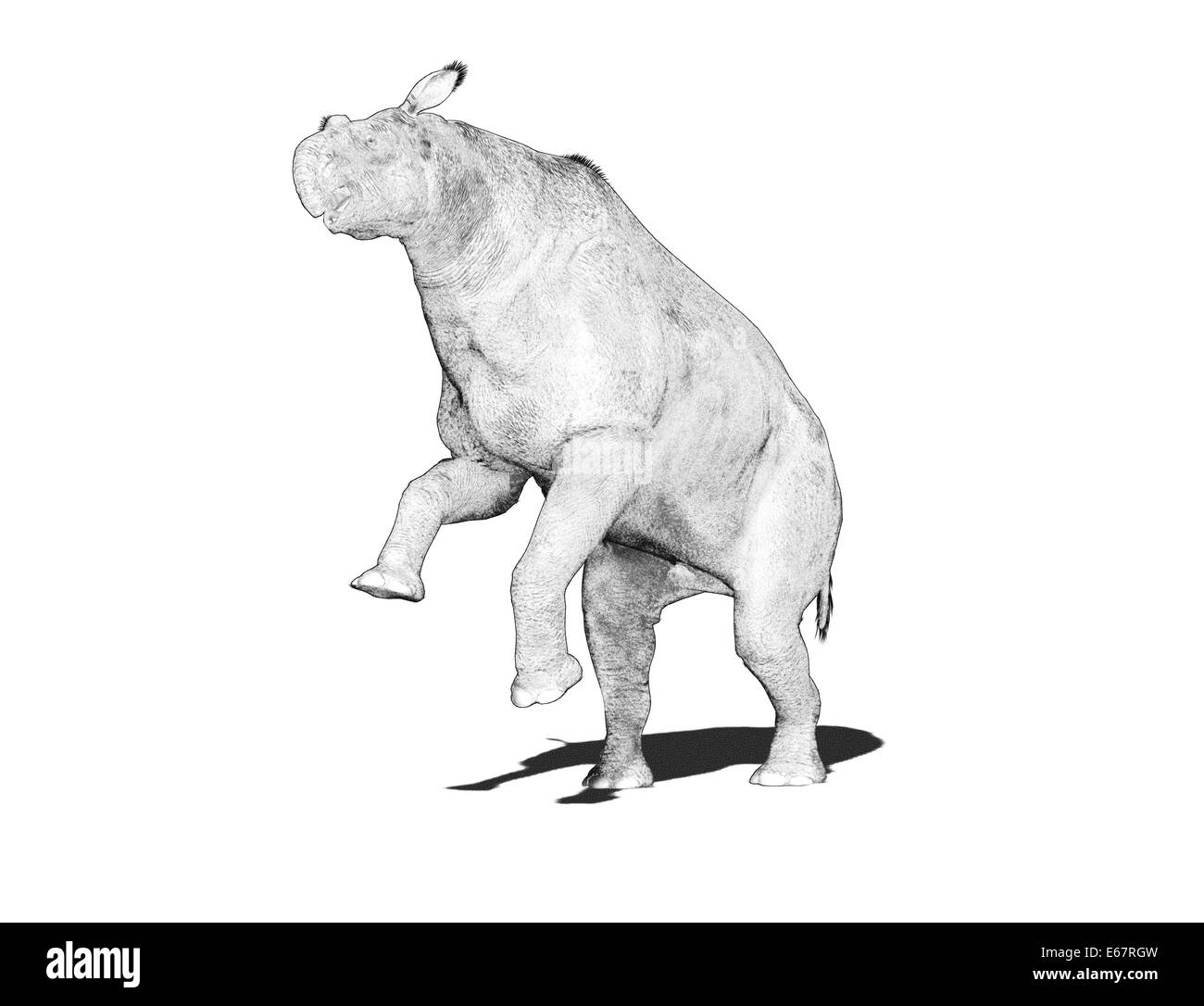 Dinosaurier Paraceratherium / dinosaur Paraceratherium Stock Photo - Alamy