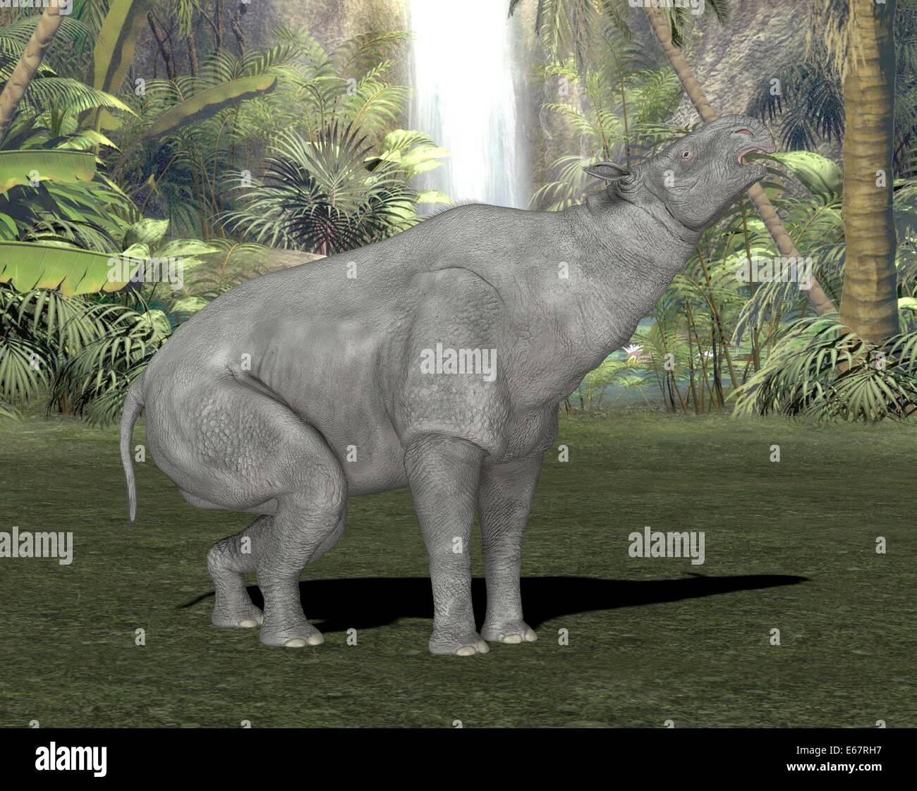 Paraceratherium High Resolution Stock Photography and Images - Alamy
