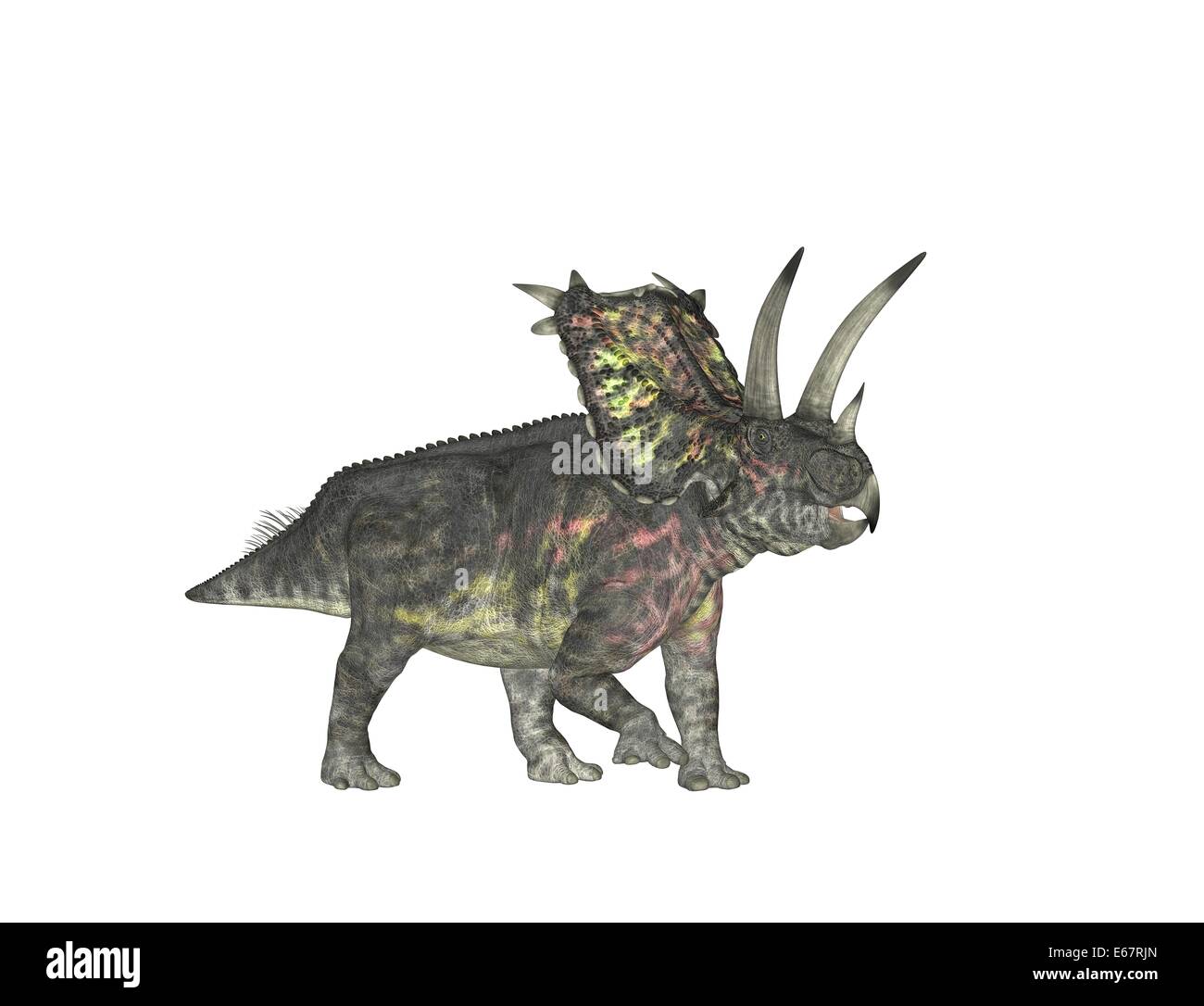 Pentaceratops hi-res stock photography and images - Alamy