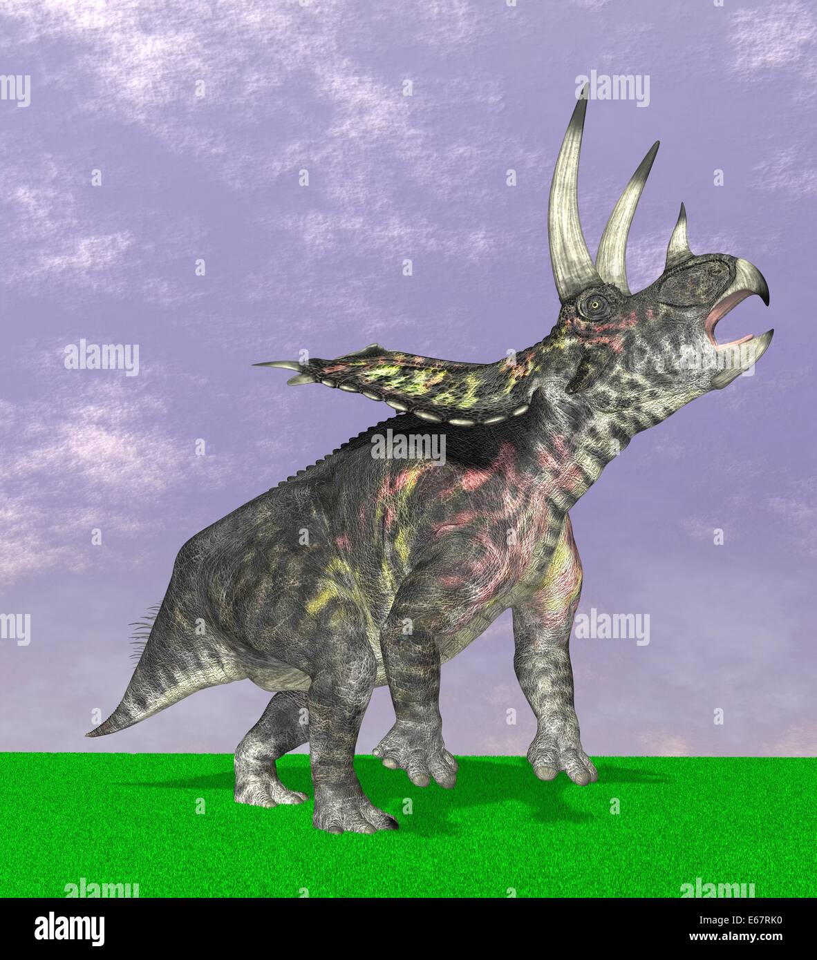 Dinosaurier Pentaceratops / dinosaur Pentaceratops Stock Photo - Alamy