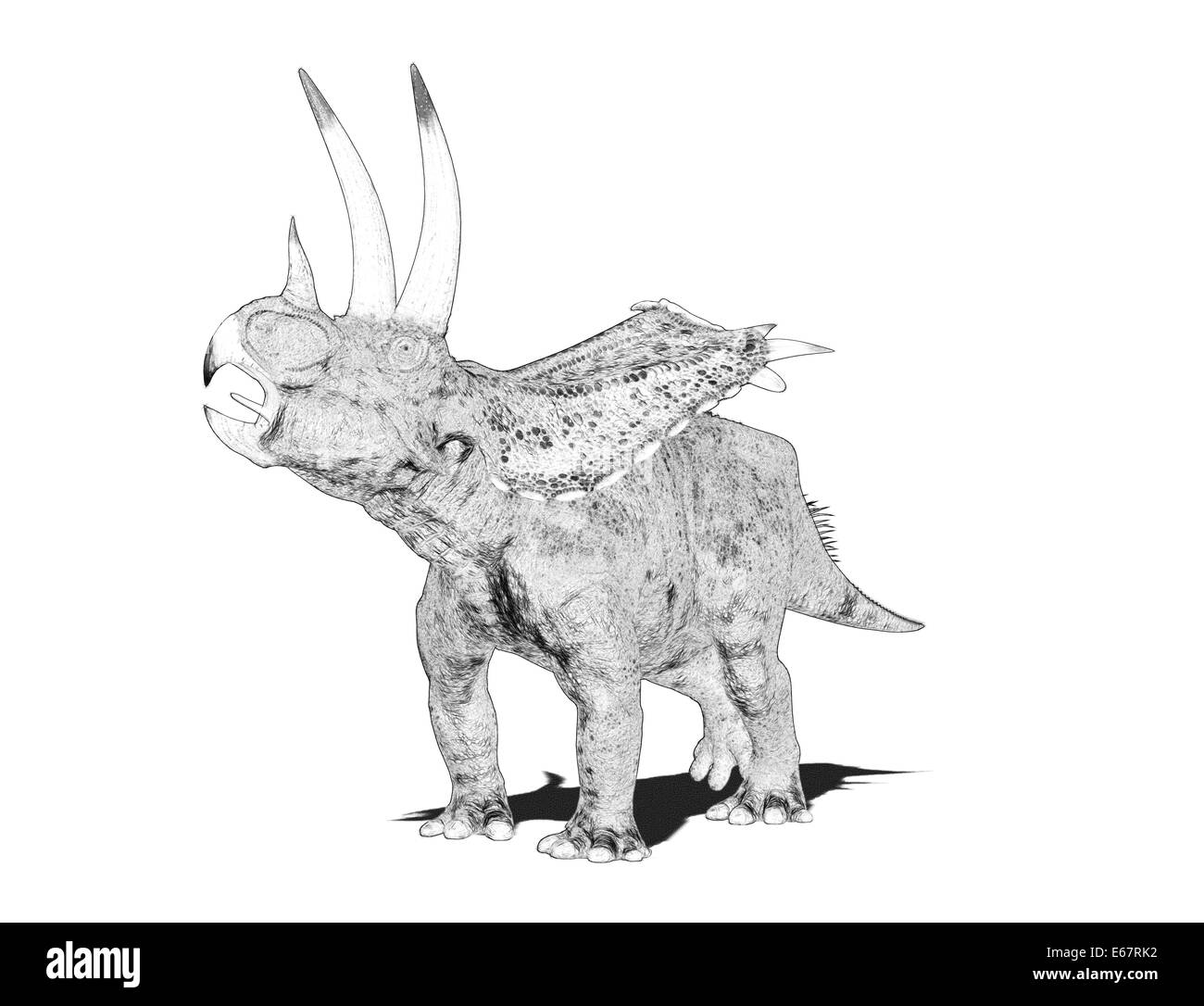 Pentaceratops hi-res stock photography and images - Alamy