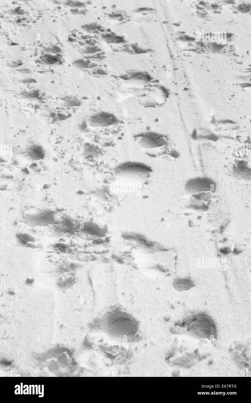 Footprints in deep snow Stock Photo - Alamy