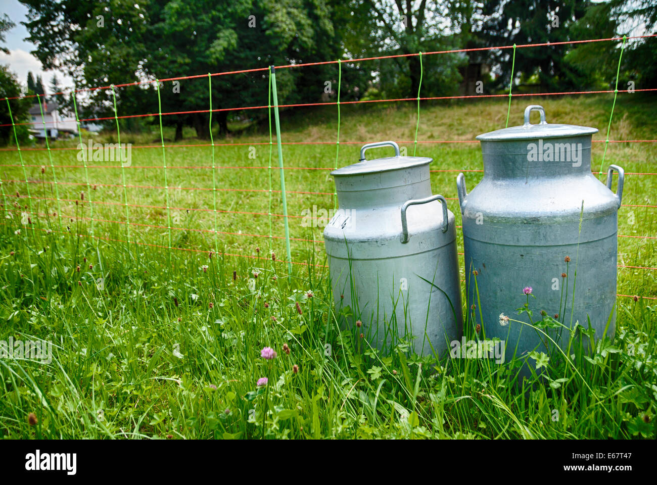 Milk can hi-res stock photography and images - Alamy