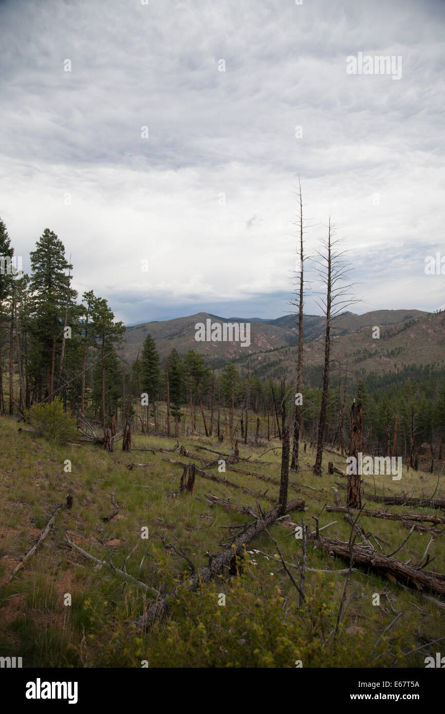 Rockey mountains hi-res stock photography and images - Alamy