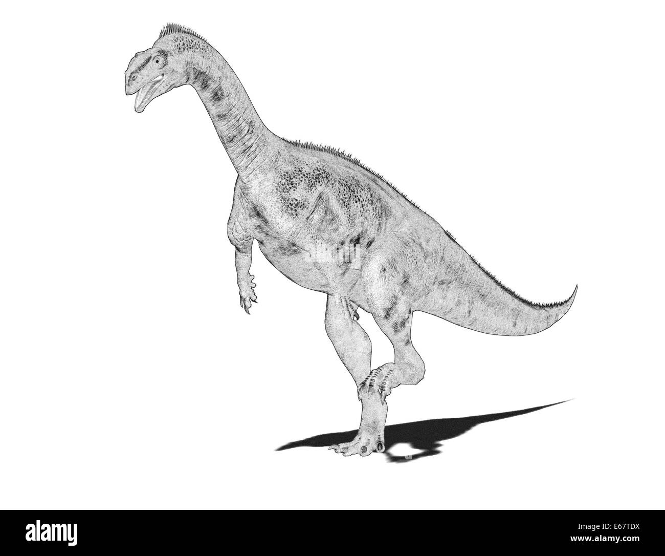 Plateosaurus Dinosaur