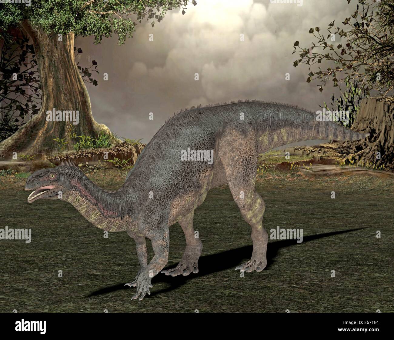 Plateosaurus hi-res stock photography and images - Alamy