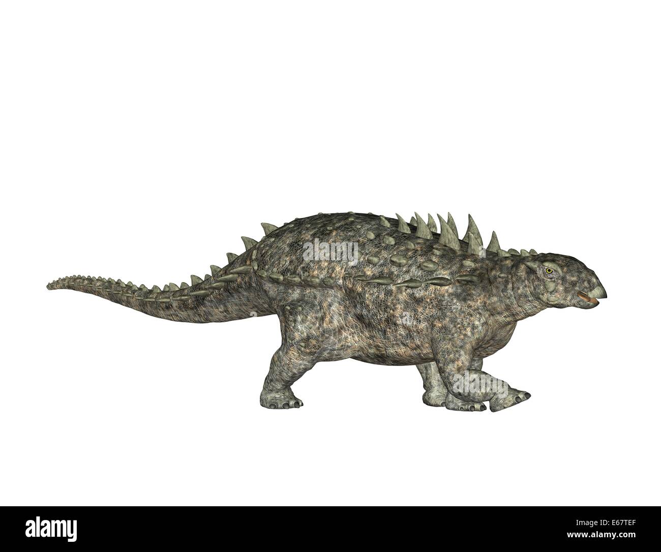 Dinosaurier Polacanthus / dinosaur Polacanthus Stock Photo - Alamy