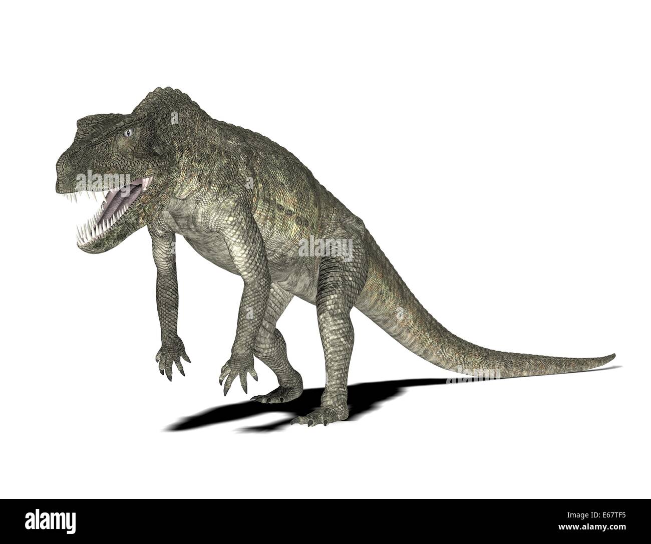 Postosuchus hi-res stock photography and images - Alamy