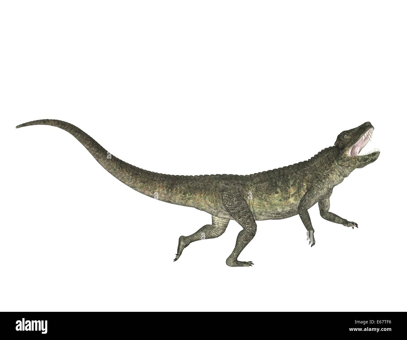 Dinosaurier Postosuchus / dinosaur Postosuchus Stock Photo - Alamy