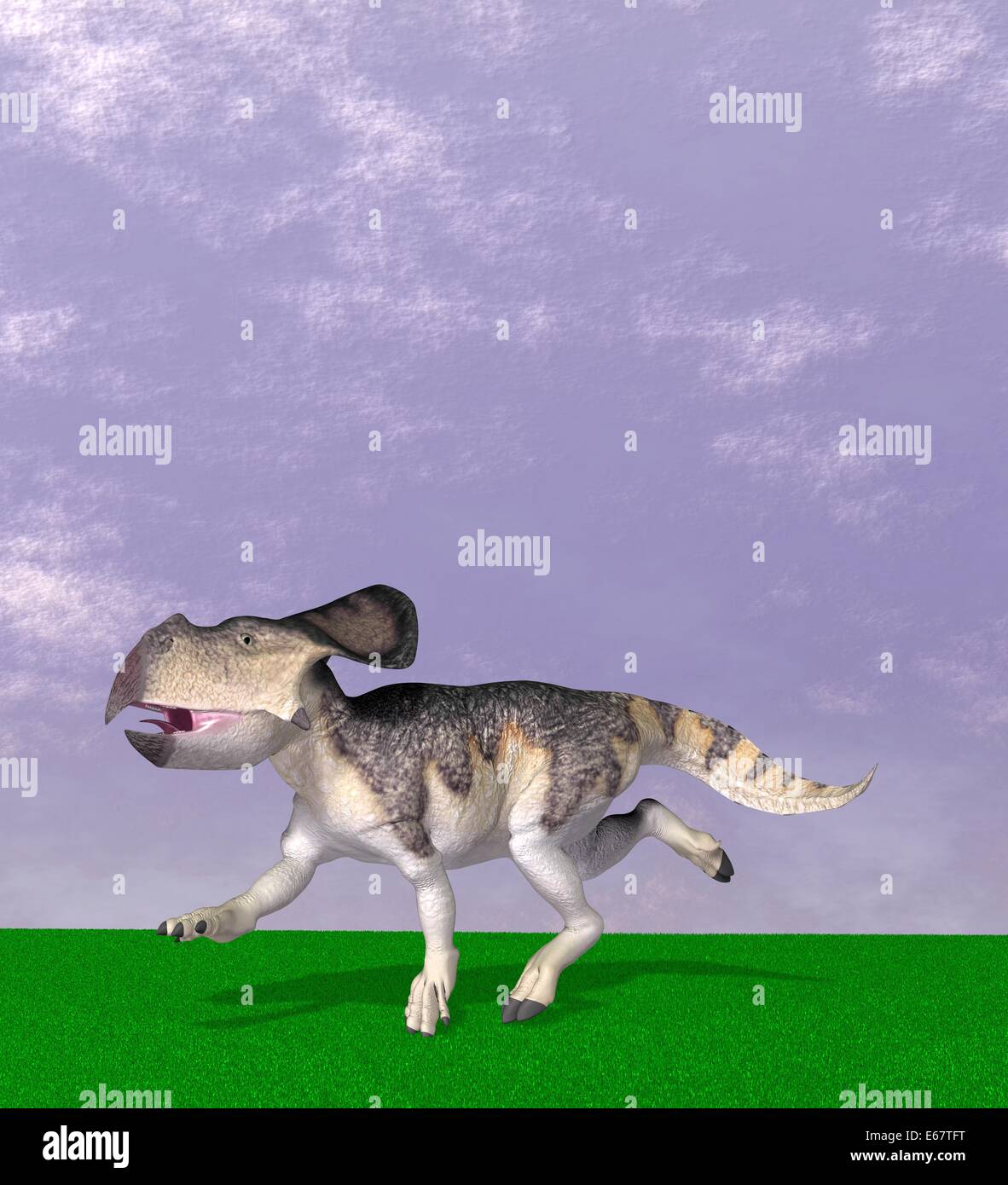 Protoceratops hi-res stock photography and images - Alamy