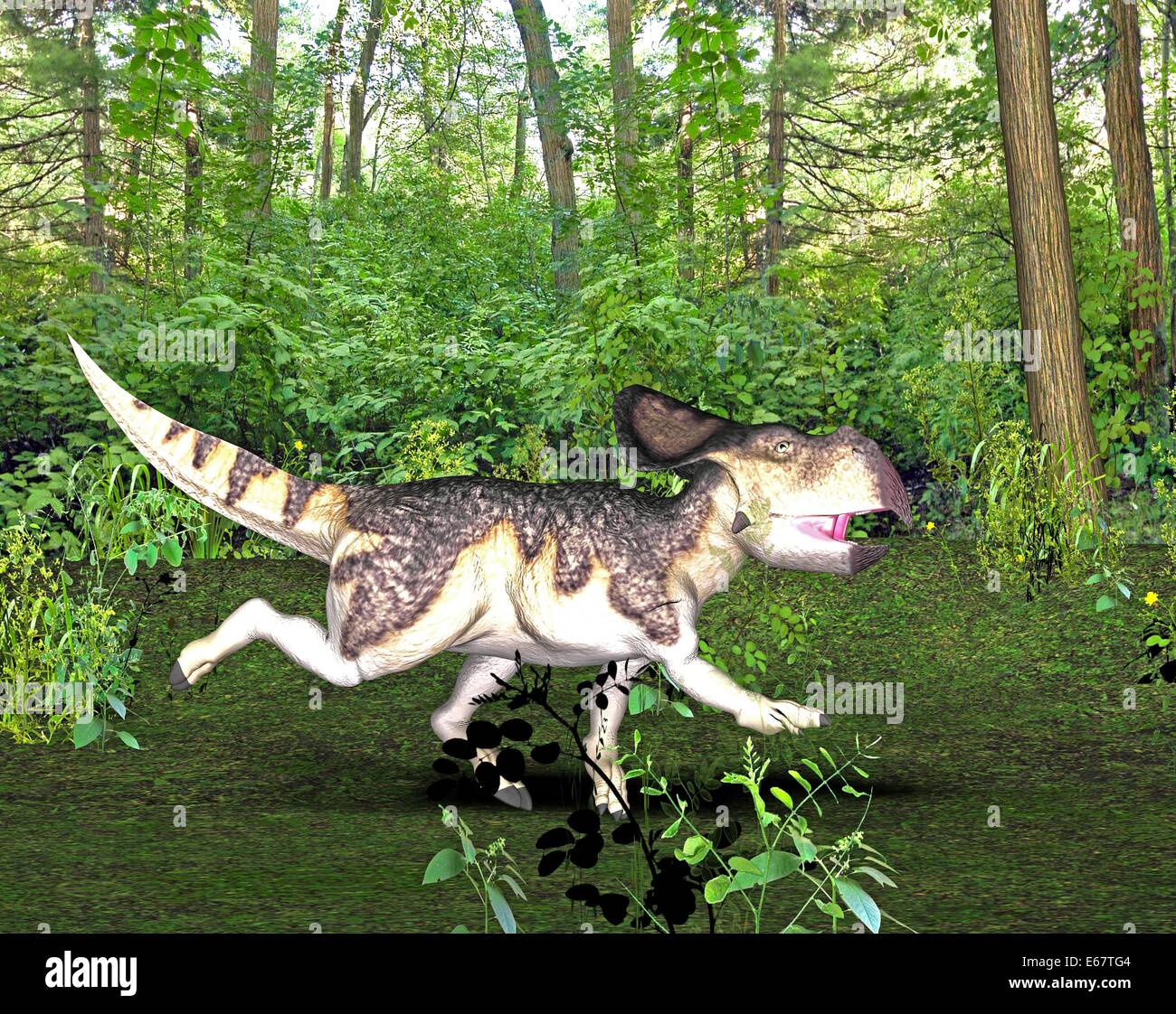 Dinosaurier Protoceratops / dinosaur Protoceratops Stock Photo - Alamy