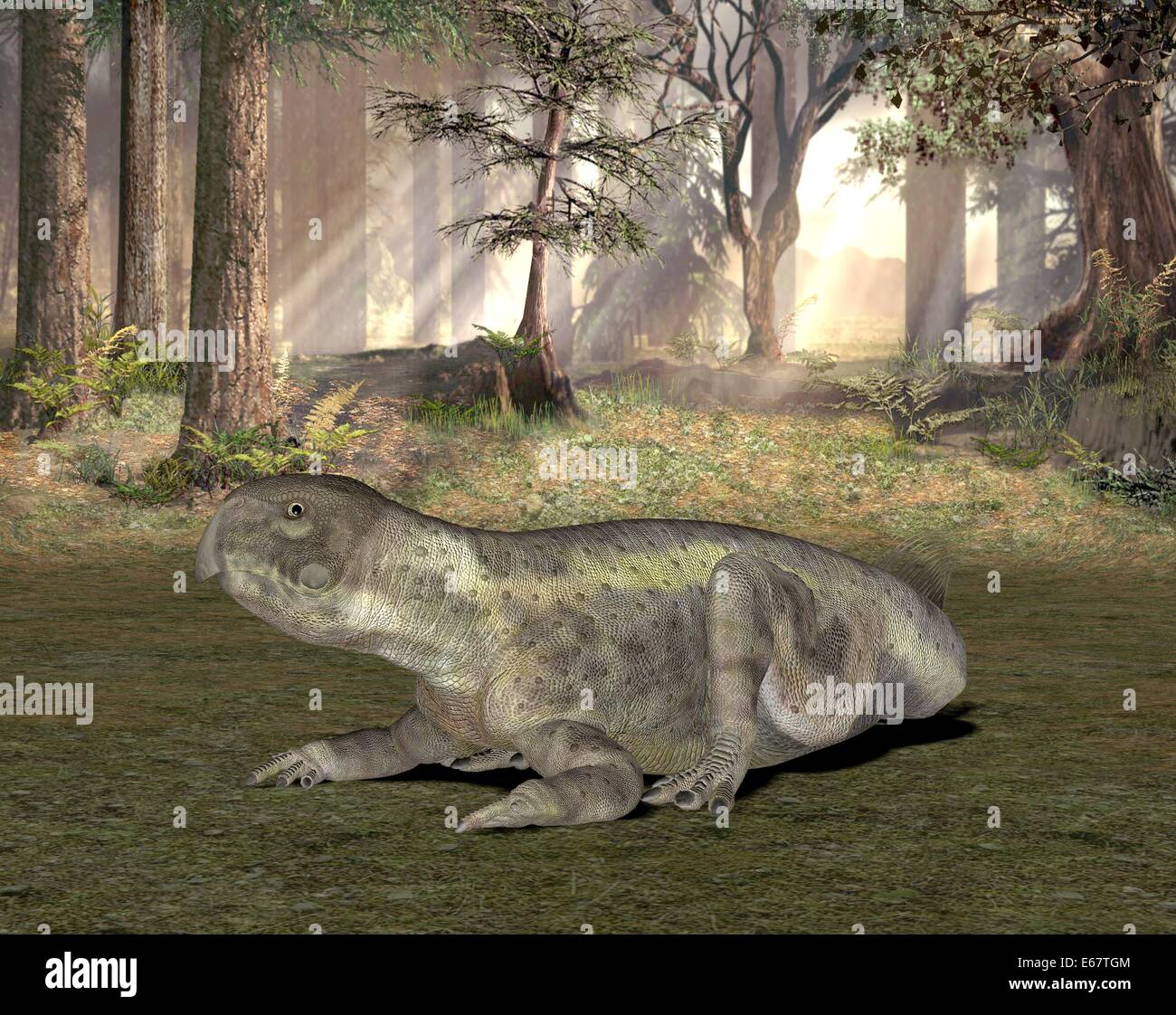 Dinosaurier Psittacosaurus / dinosaur Psittacosaurus Stock Photo - Alamy