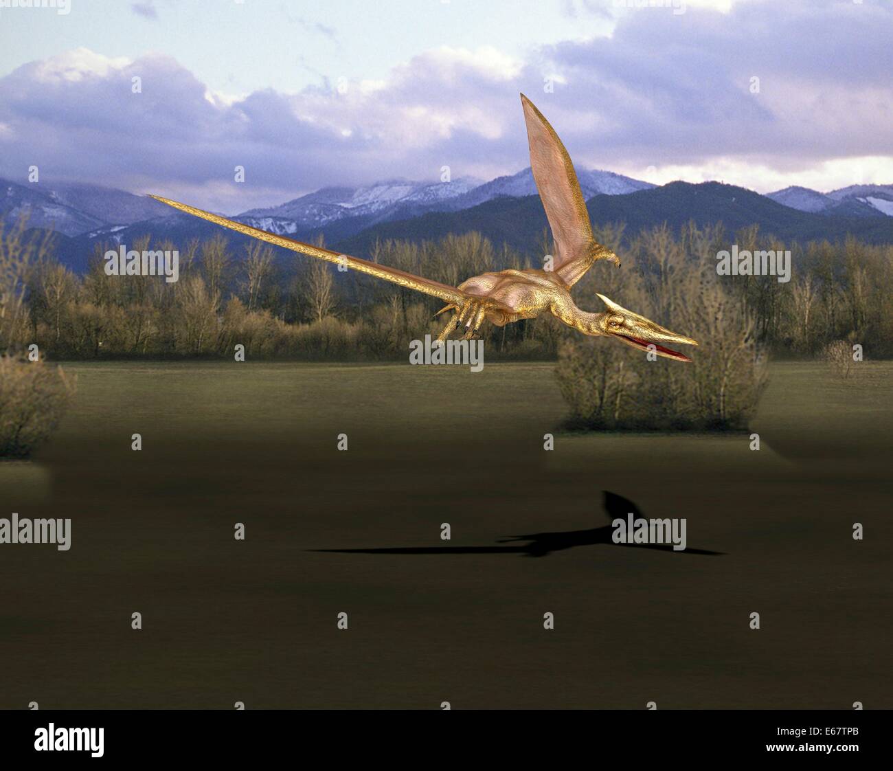 Quetzalcoatlus hi-res stock photography and images - Alamy