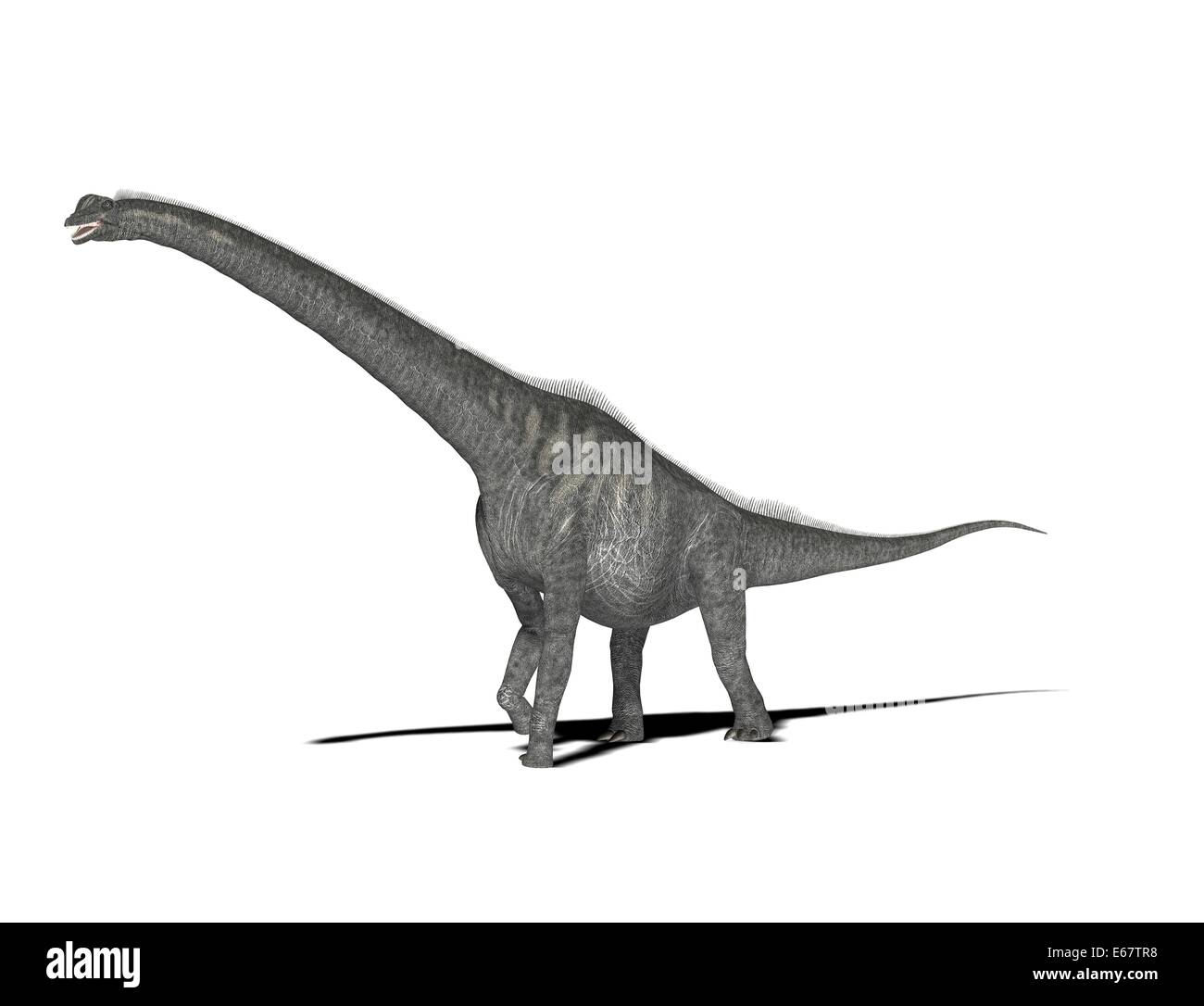 Dinosaurier Sauroposeidon / dinosaur Sauroposeidon Stock Photo - Alamy