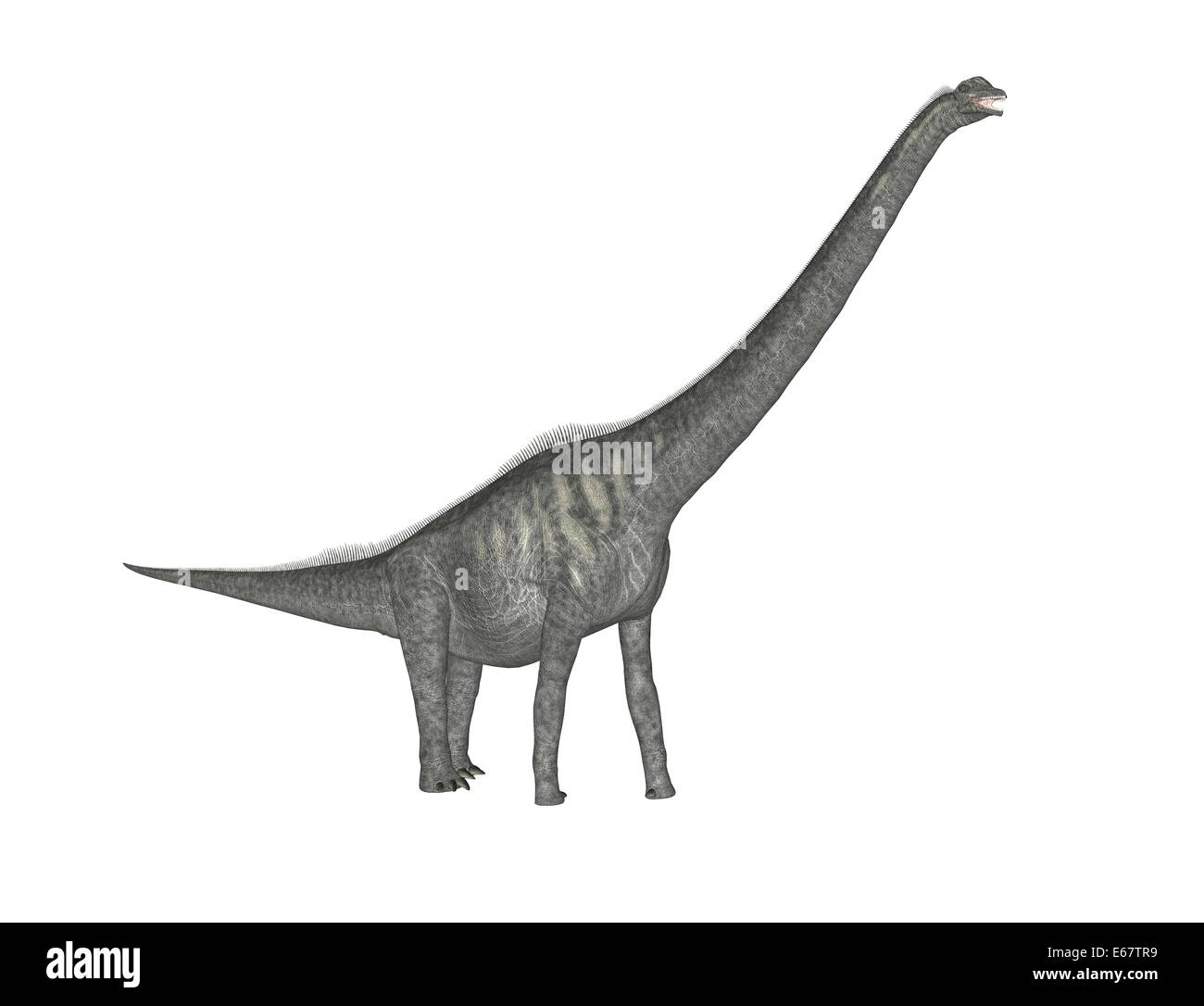 Sauroposeidon proteles Cut Out Stock Images & Pictures - Alamy