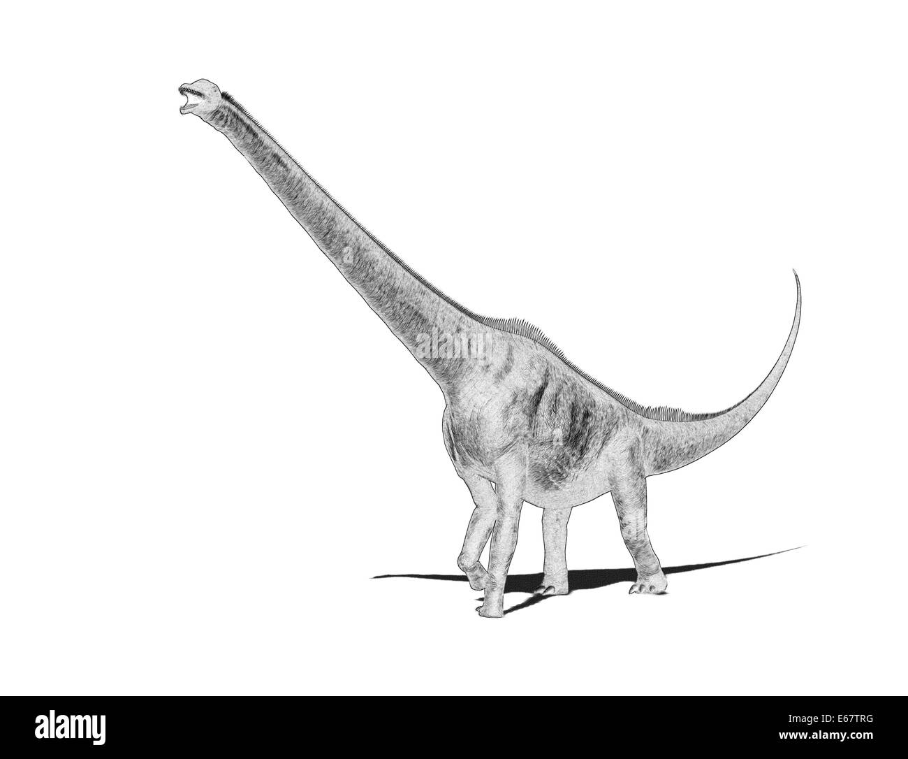Dinosaurier Sauroposeidon / dinosaur Sauroposeidon Stock Photo - Alamy