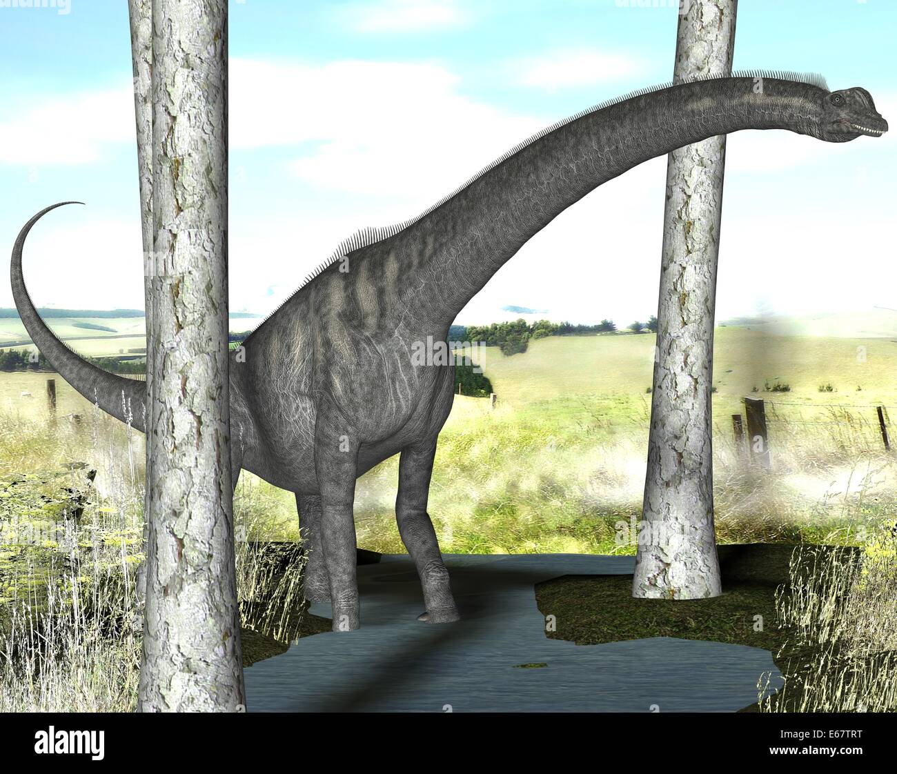 Sauroposeidon hi-res stock photography and images - Alamy