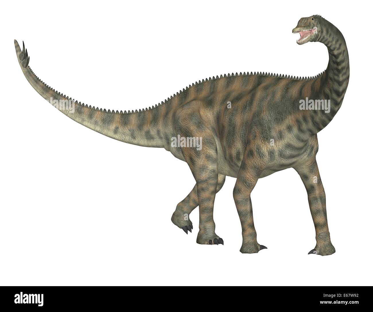 Dinosaurier Spinophorosaurus / dinosaur Spinophorosaurus Stock Photo ...