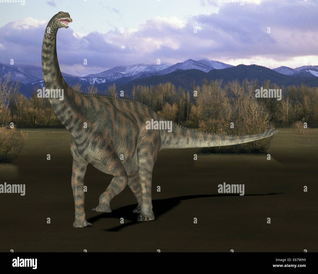 Dinosaurier Spinophorosaurus / dinosaur Spinophorosaurus Stock Photo ...