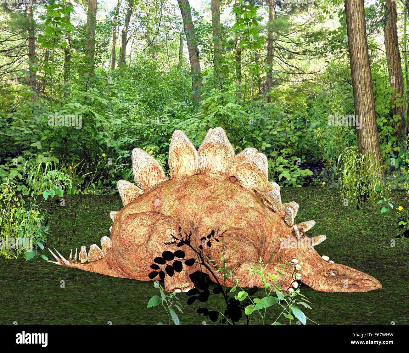Dinosaurier Stegosaurus / dinosaur Stegosaurus Stock Photo - Alamy