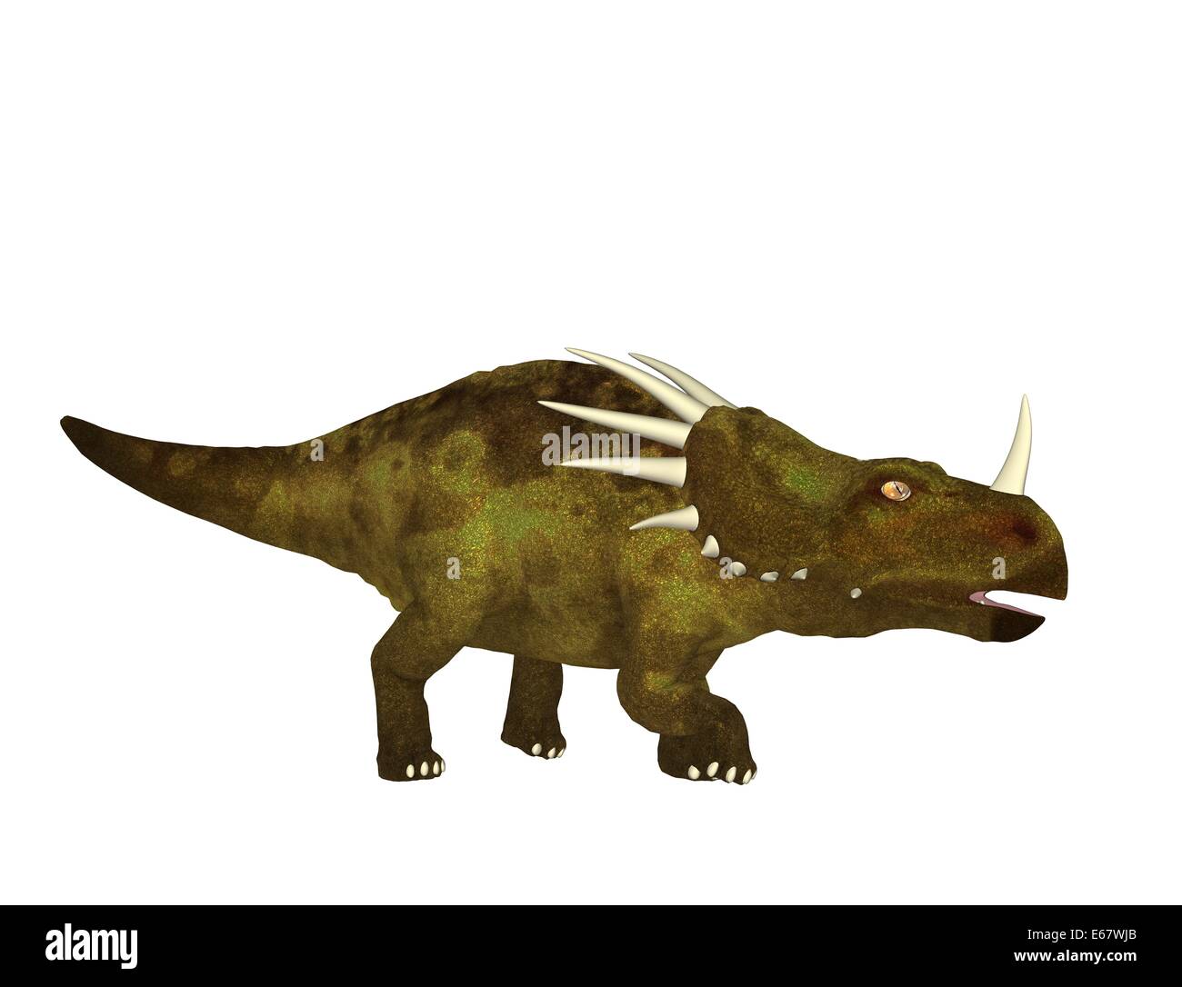 Dinosaurier Styracosaurus / dinosaur Styracosaurus Stock Photo - Alamy