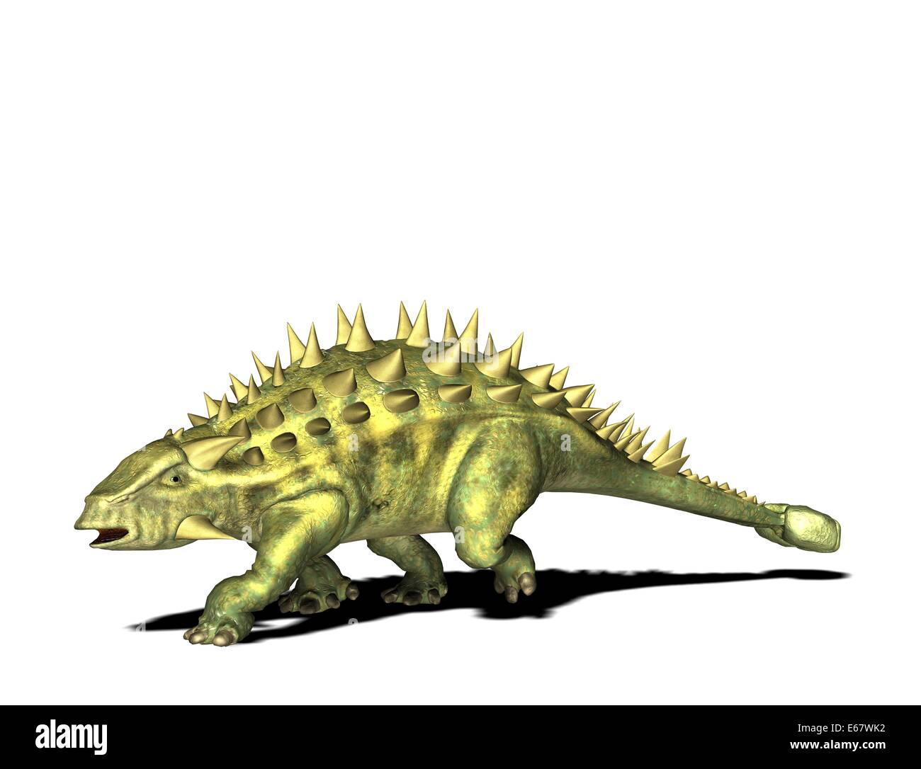 Talarurus Dinosaur High Resolution Stock Photography and Images - Alamy