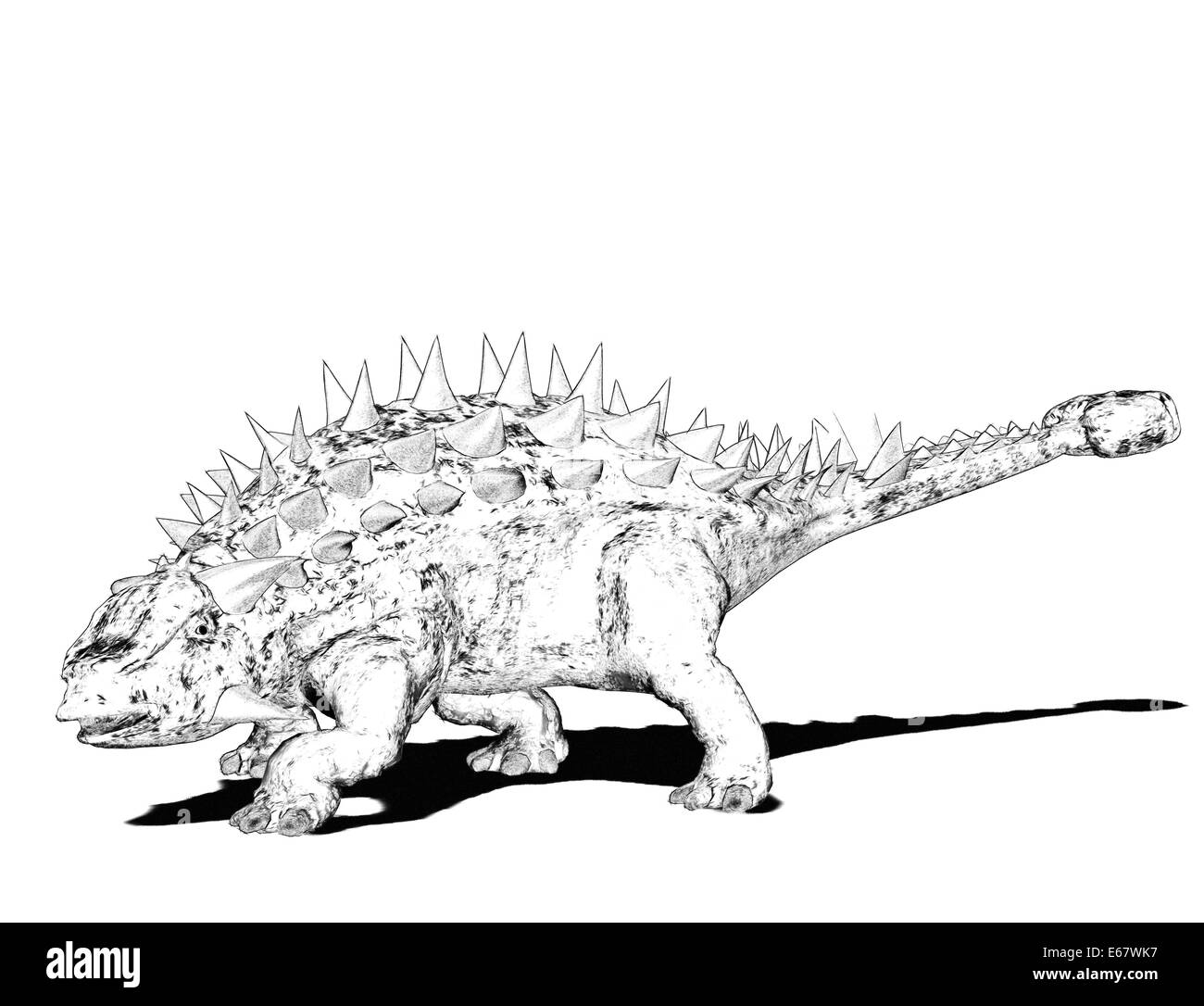 Dinosaurier Talarurus / dinosaur Talarurus Stock Photo - Alamy