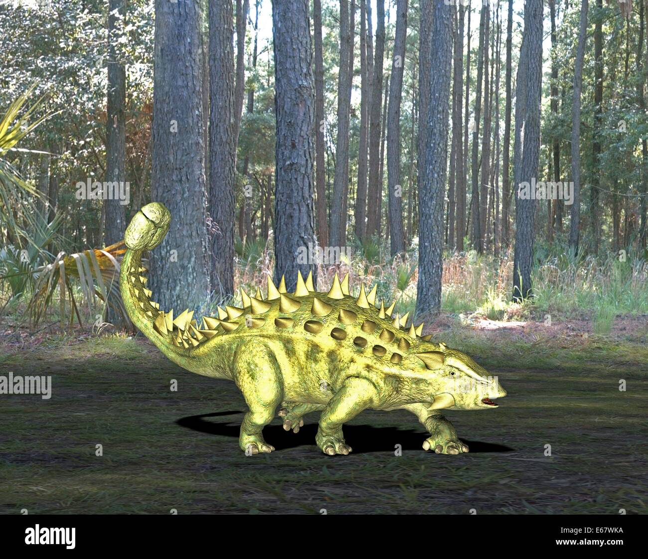Dinosaurier Talarurus / dinosaur Talarurus Stock Photo - Alamy
