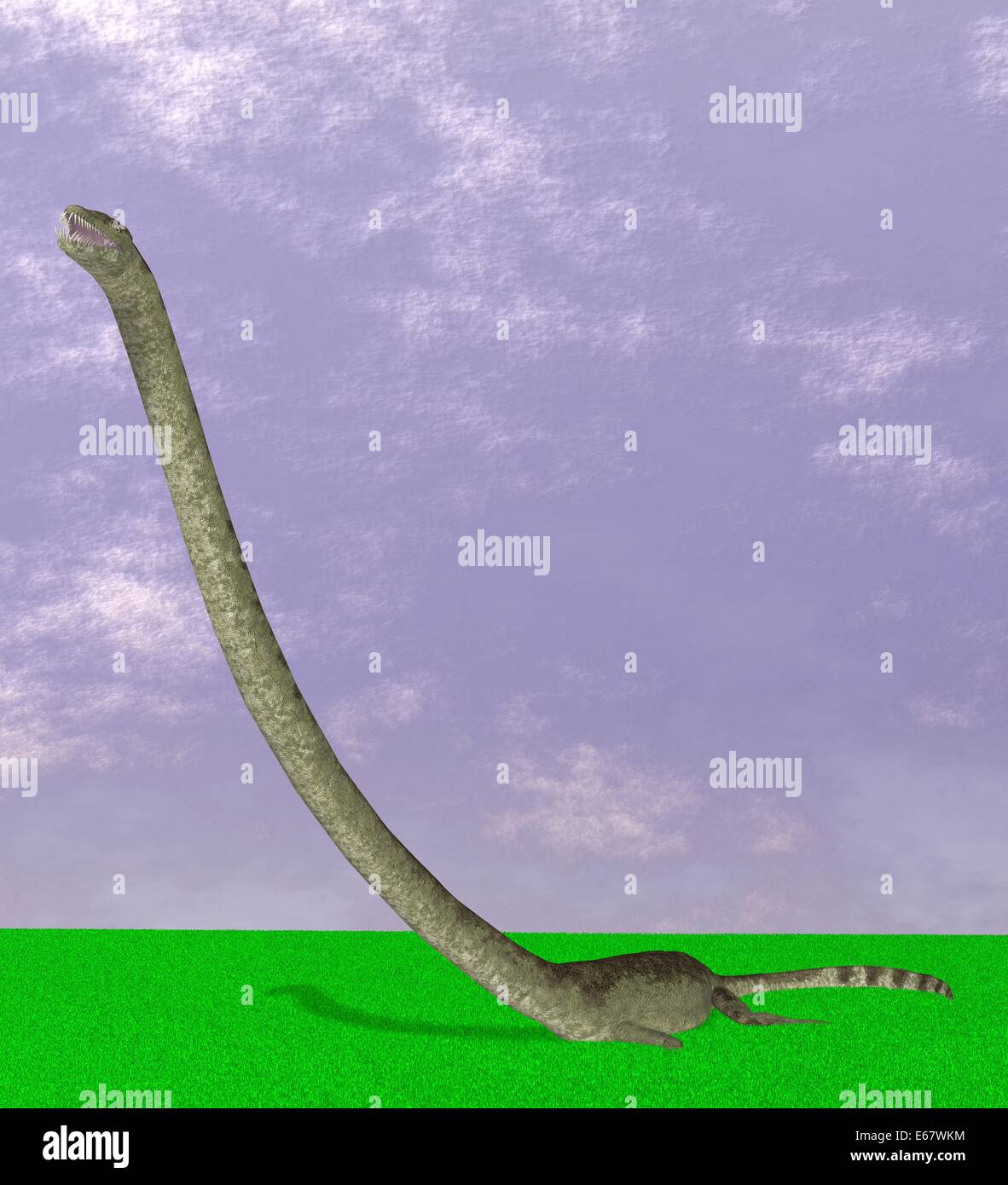 Tanystropheus hi-res stock photography and images - Alamy