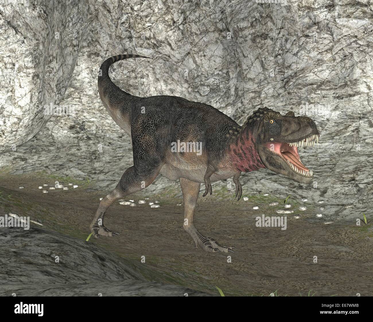 Tarbosaurus Illustration Stock Photos & Tarbosaurus Illustration Stock ...