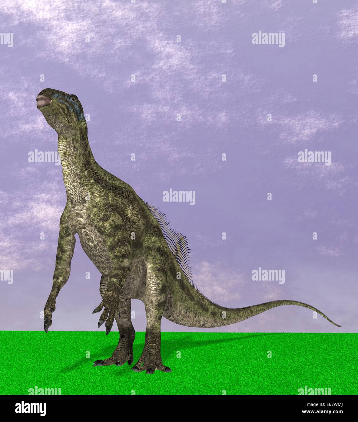 Tenontosaurus hi-res stock photography and images - Alamy