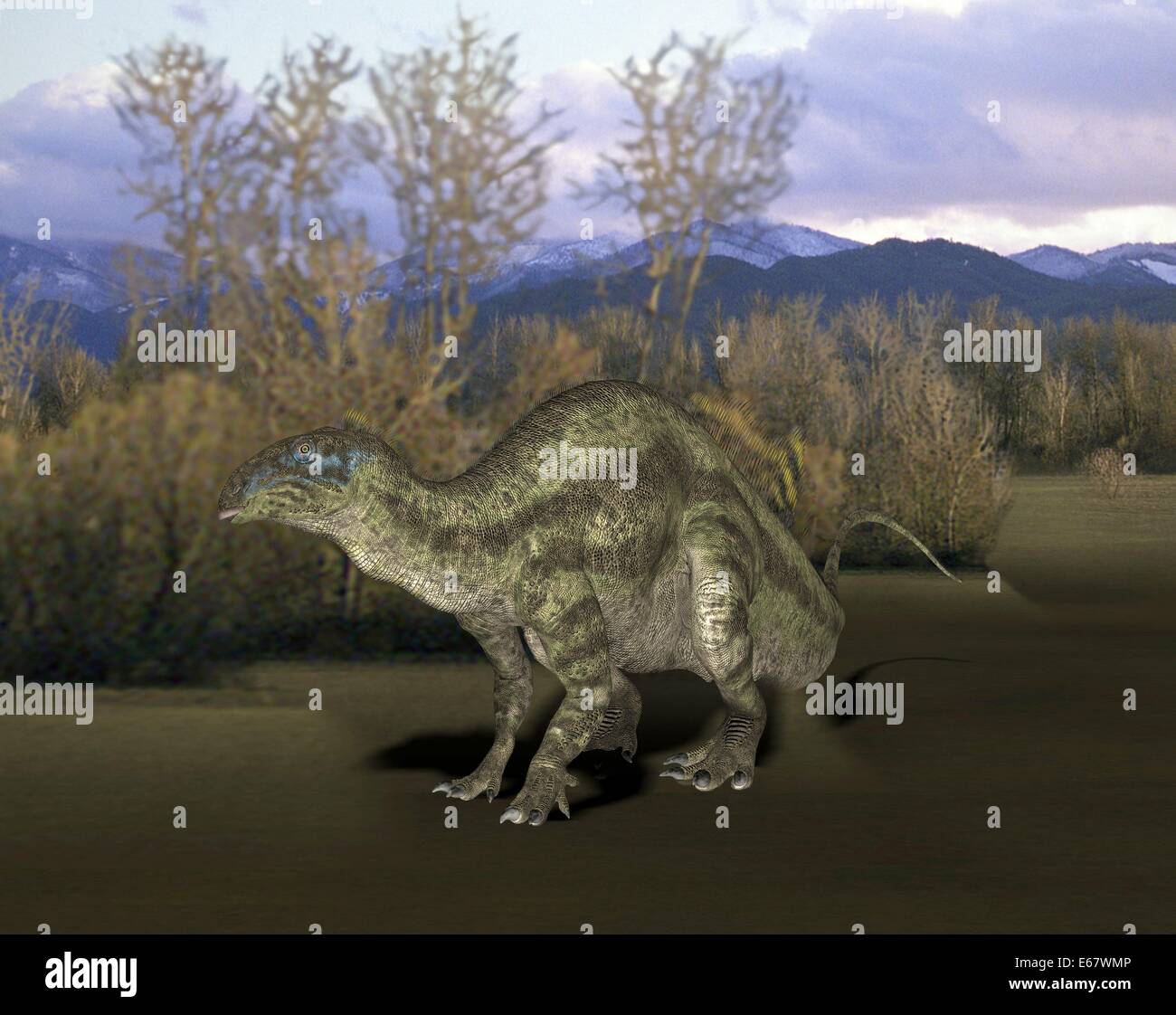 Dinosaurier Tenontosaurus tilletti / dinosaur Tenontosaurus tilletti ...