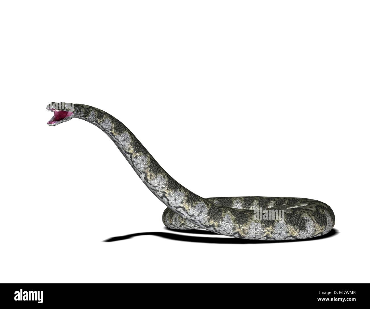 Dinosaurier Titanoboa cerrejonensis / dinosaur Titanoboa cerrejonensis ...