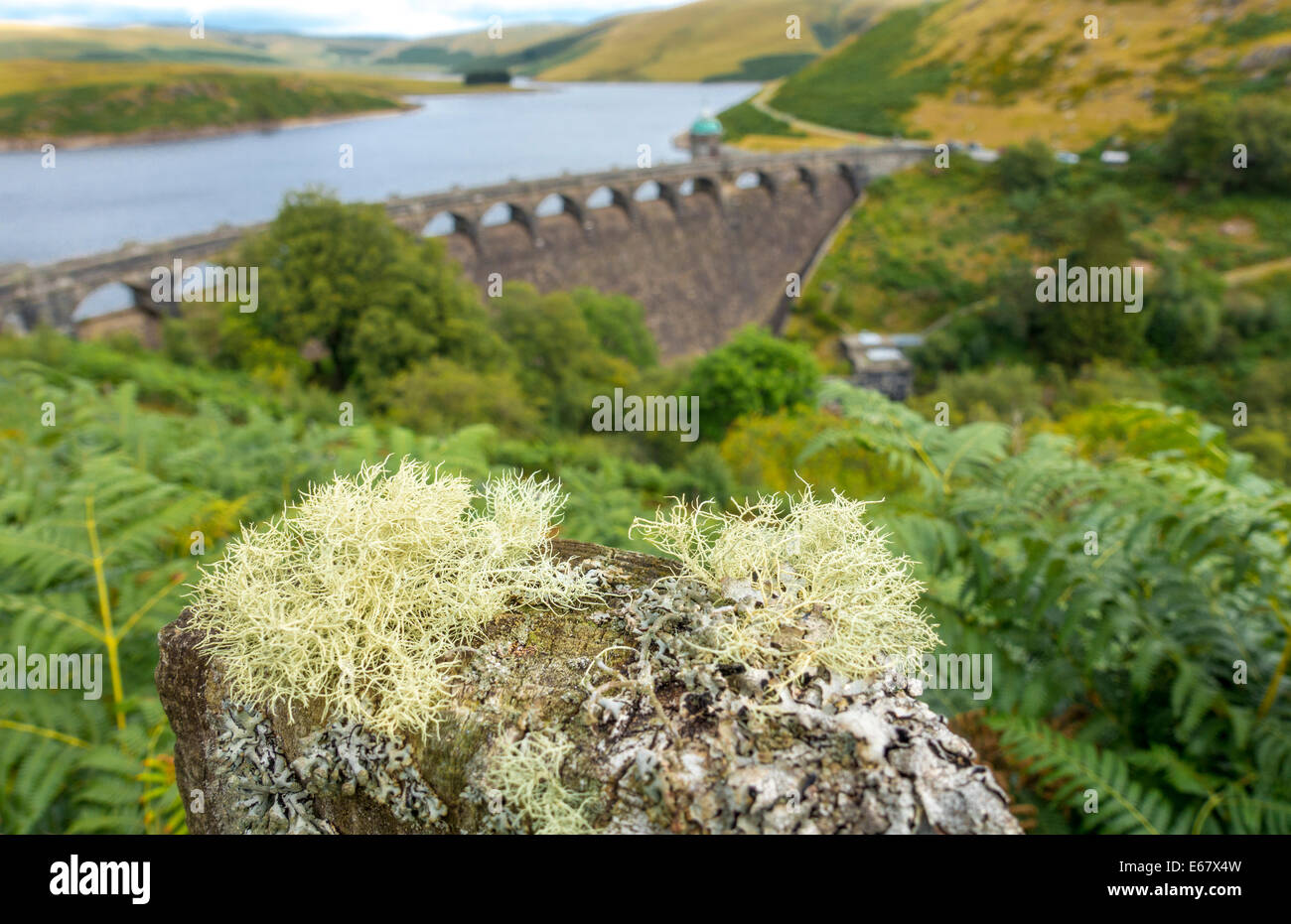 Graig Goch reservoir and masonry dam in the Elan Valley, Powys Wales ...