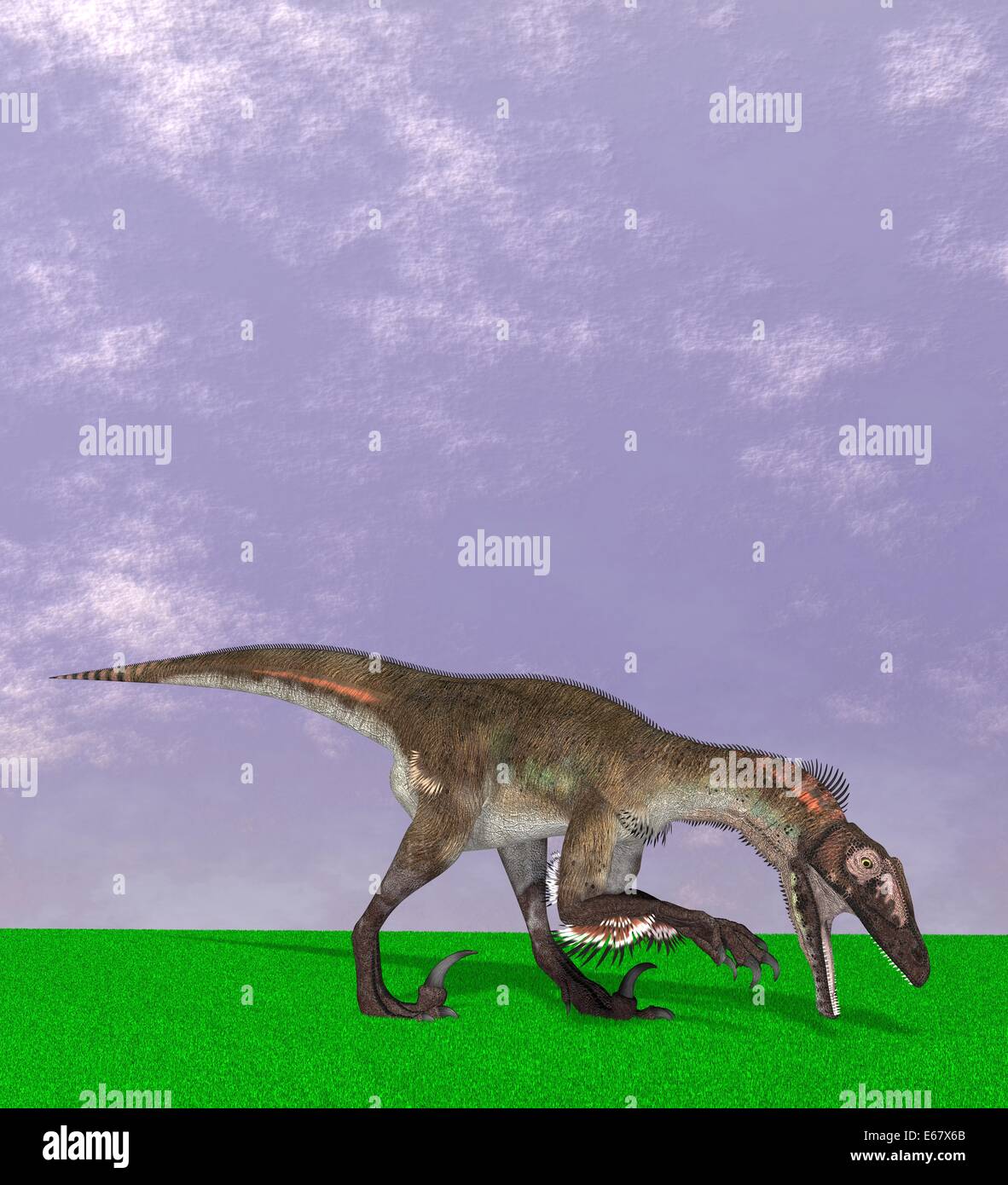 Utahraptor Stock Photos & Utahraptor Stock Images - Alamy