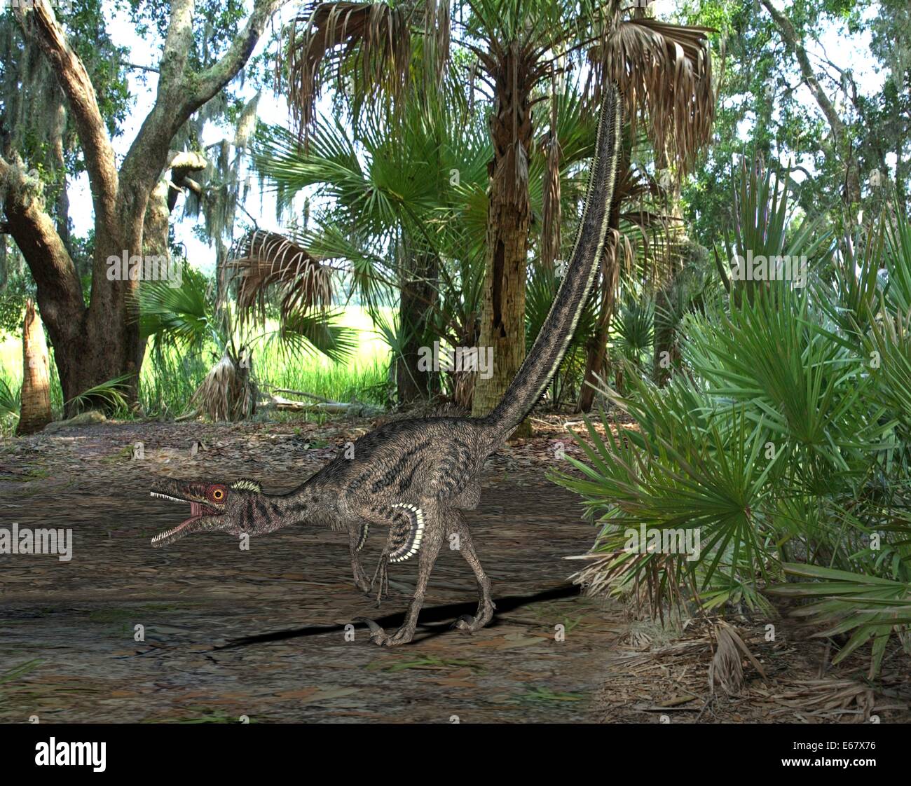dinosaur Velociraptor mongoliensis Stock Photo - Alamy