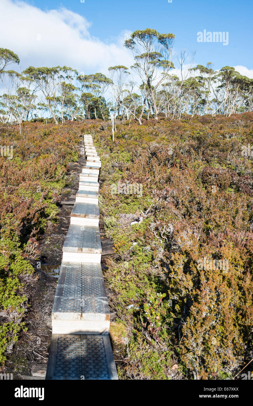 Duckboard High Resolution Stock Photography and Images - Alamy