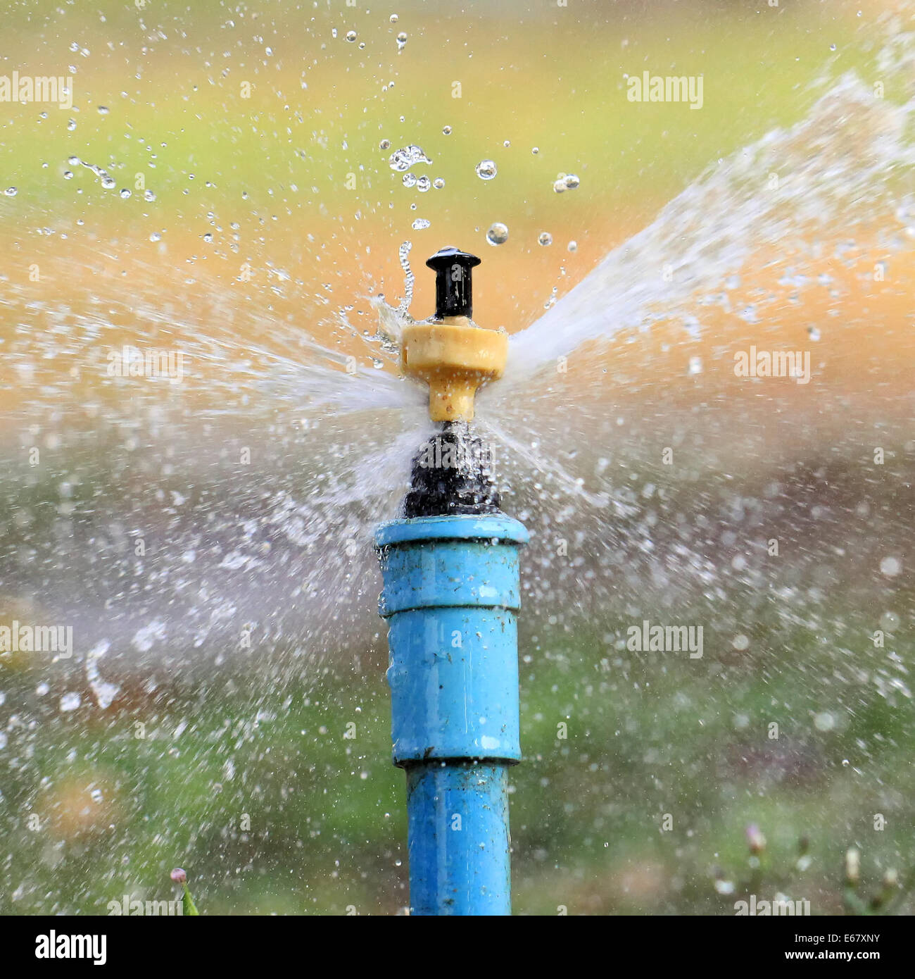 Wet pipe sprinkler hi-res stock photography and images - Alamy