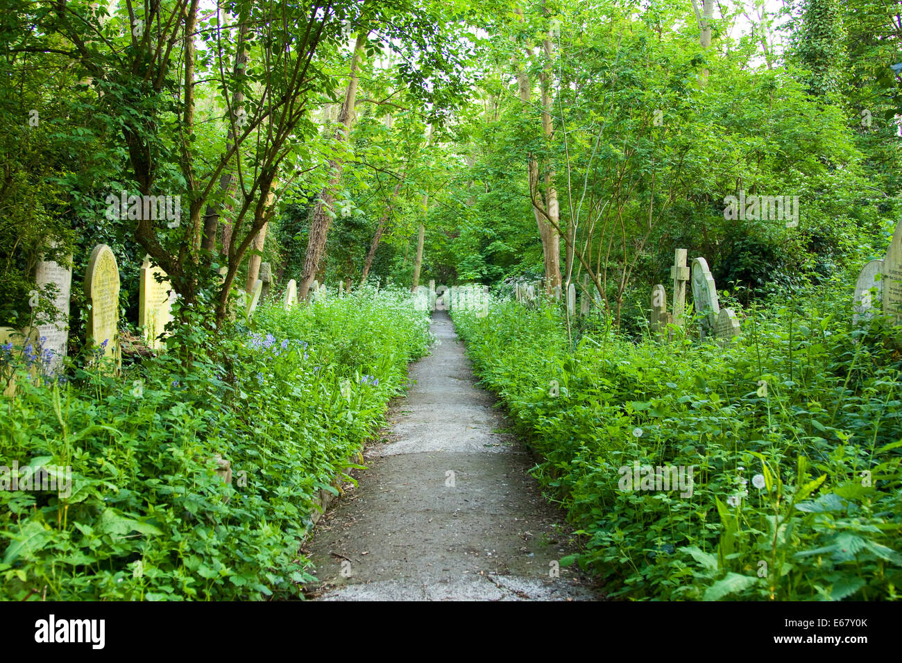 Peaceful forest forest grave hi-res stock photography and images - Alamy