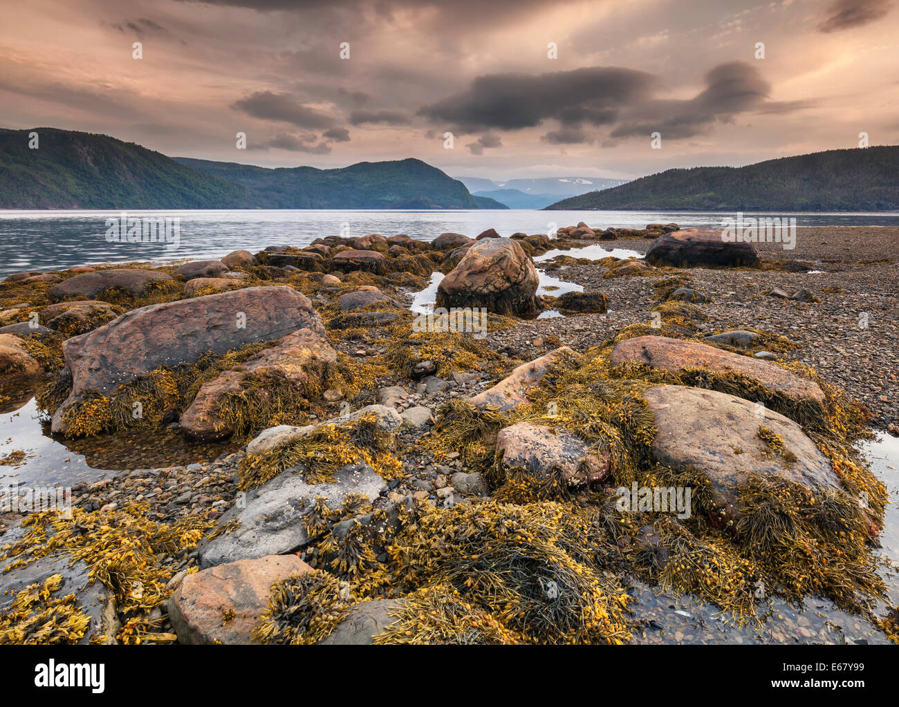 Newfoundland ocean rocks shoreline hi-res stock photography and images ...