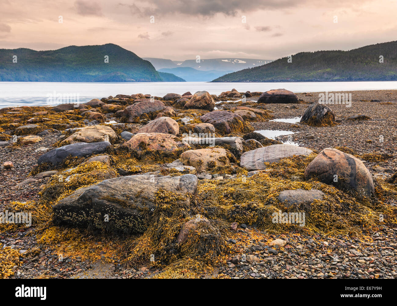 Newfoundland Ocean Rocks Shoreline Stock Photos & Newfoundland Ocean ...