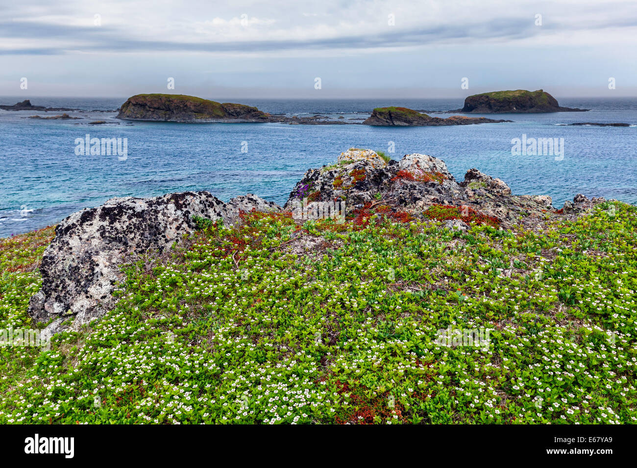 Islands spring hi-res stock photography and images - Alamy
