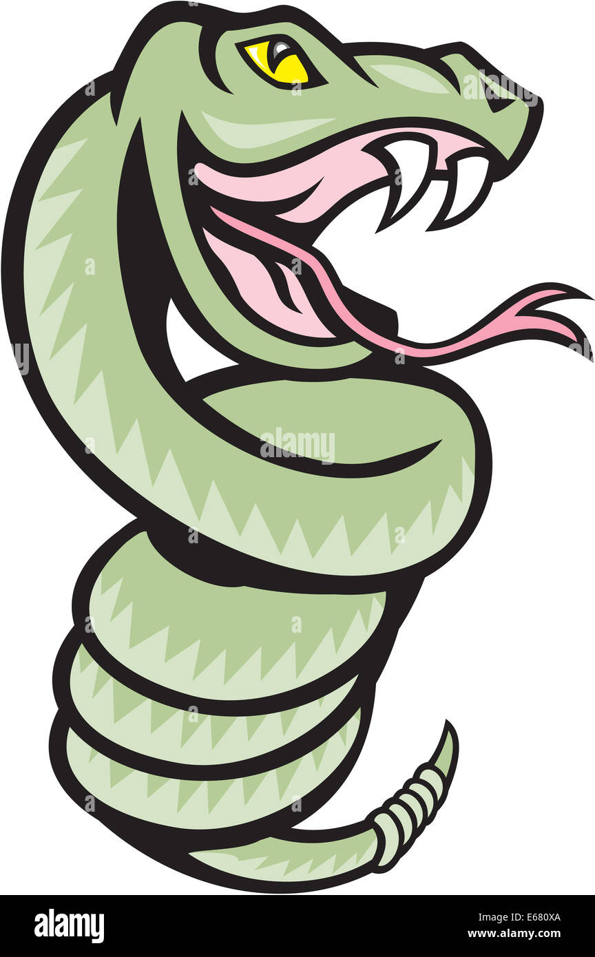 Illustration of a rattle snake viper serpent coiling up on isolated ...