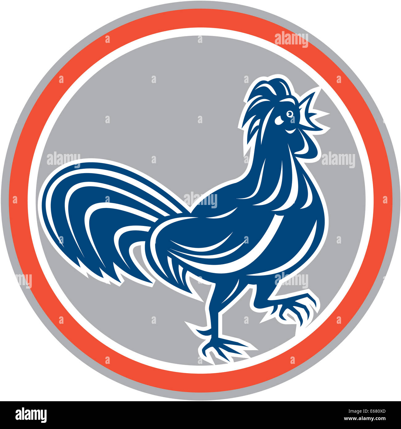 Illustration of a chicken rooster walking leg up facing side set inside ...