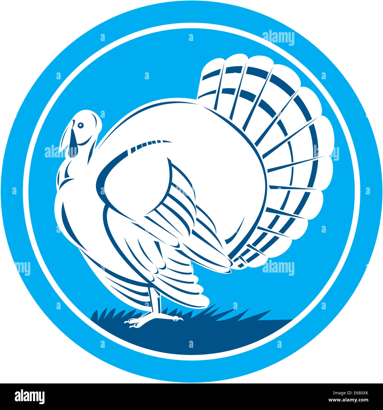 Illustration of a wild turkey standing facing side on isolated ...