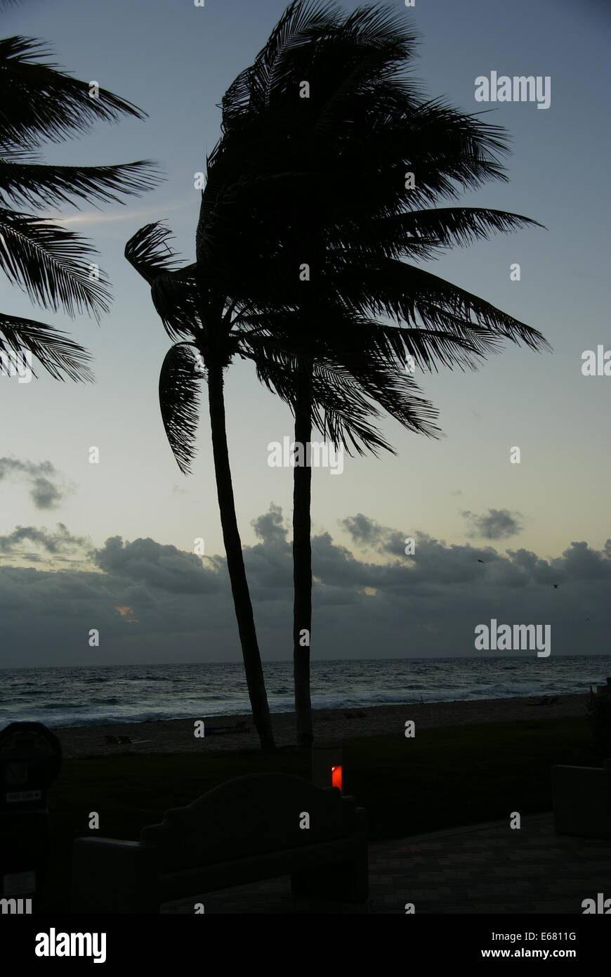 Beach windy sunrise hi-res stock photography and images - Alamy