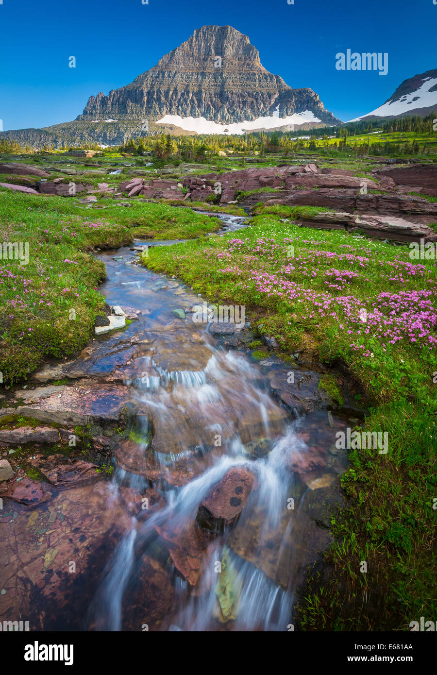 Logan Pass in Glacier National Park, Montana, located near the US ...