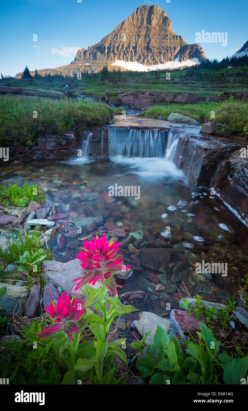 Logan Pass in Glacier National Park, Montana, located near the US ...